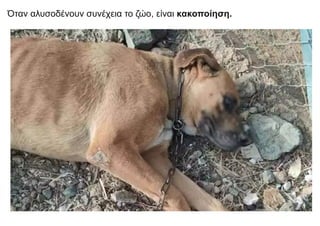 Πανελλήνια Σχολική Ημέρα Φιλοζωίας | PDF