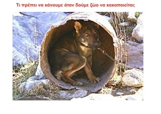 Πανελλήνια Σχολική Ημέρα Φιλοζωίας | PDF