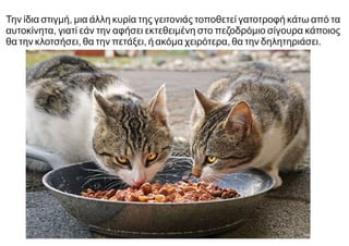 Πανελλήνια Σχολική Ημέρα Φιλοζωίας | PDF