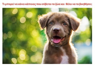 Πανελλήνια Σχολική Ημέρα Φιλοζωίας | PDF