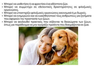 Πανελλήνια Σχολική Ημέρα Φιλοζωίας | PDF