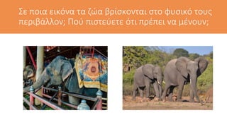 Τα ζώα ως διασκέδαση (Παγκόσμια ημέρα ζώων. 4 Απριλίου) .pptx