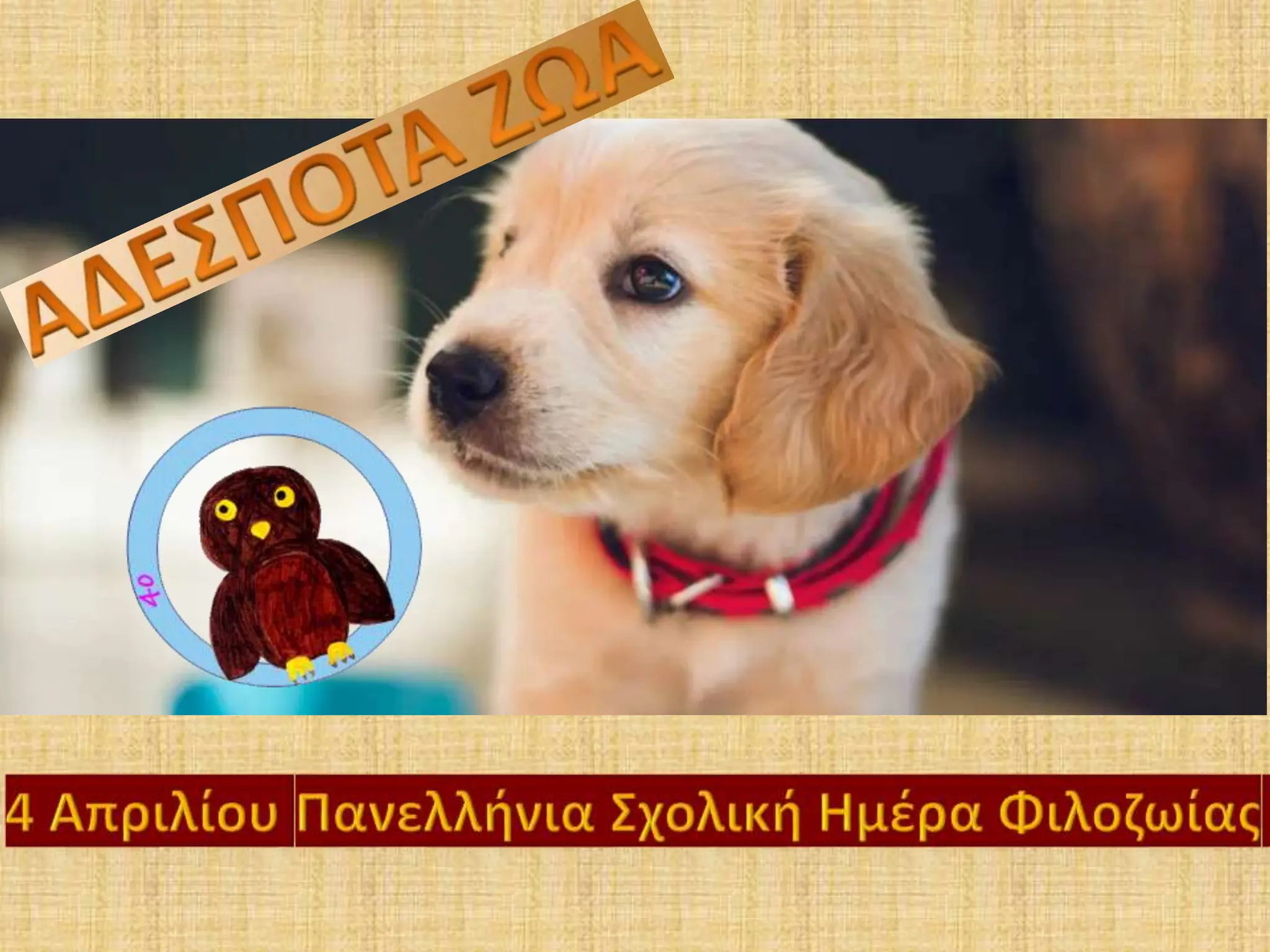 Πανελλήνια Σχολική Ημέρα Φιλοζωίας δημο. | PPTX