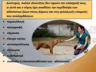 Πανελλήνια Σχολική Ημέρα Φιλοζωίας δημο. | PPT