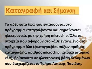 Πανελλήνια Σχολική Ημέρα Φιλοζωίας δημο. | PPT