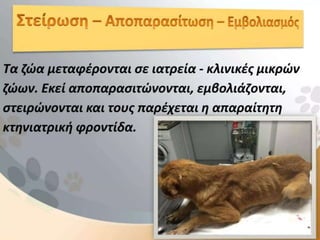 Πανελλήνια Σχολική Ημέρα Φιλοζωίας δημο. | PPT