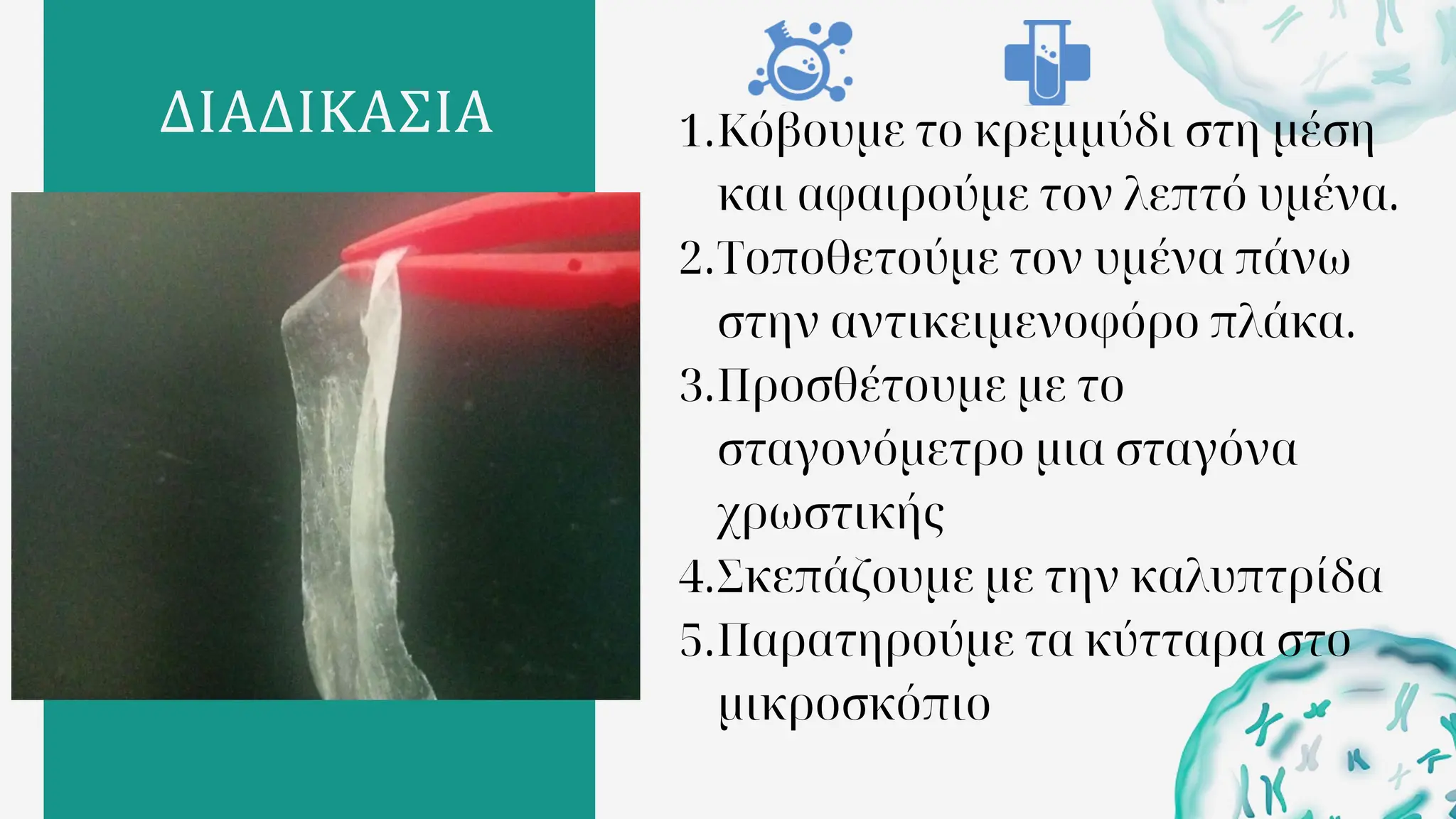 Παρατήρηση Κυττάρων στο Μικροσκόπιο _ παρουσίαση /Observation of cells ...