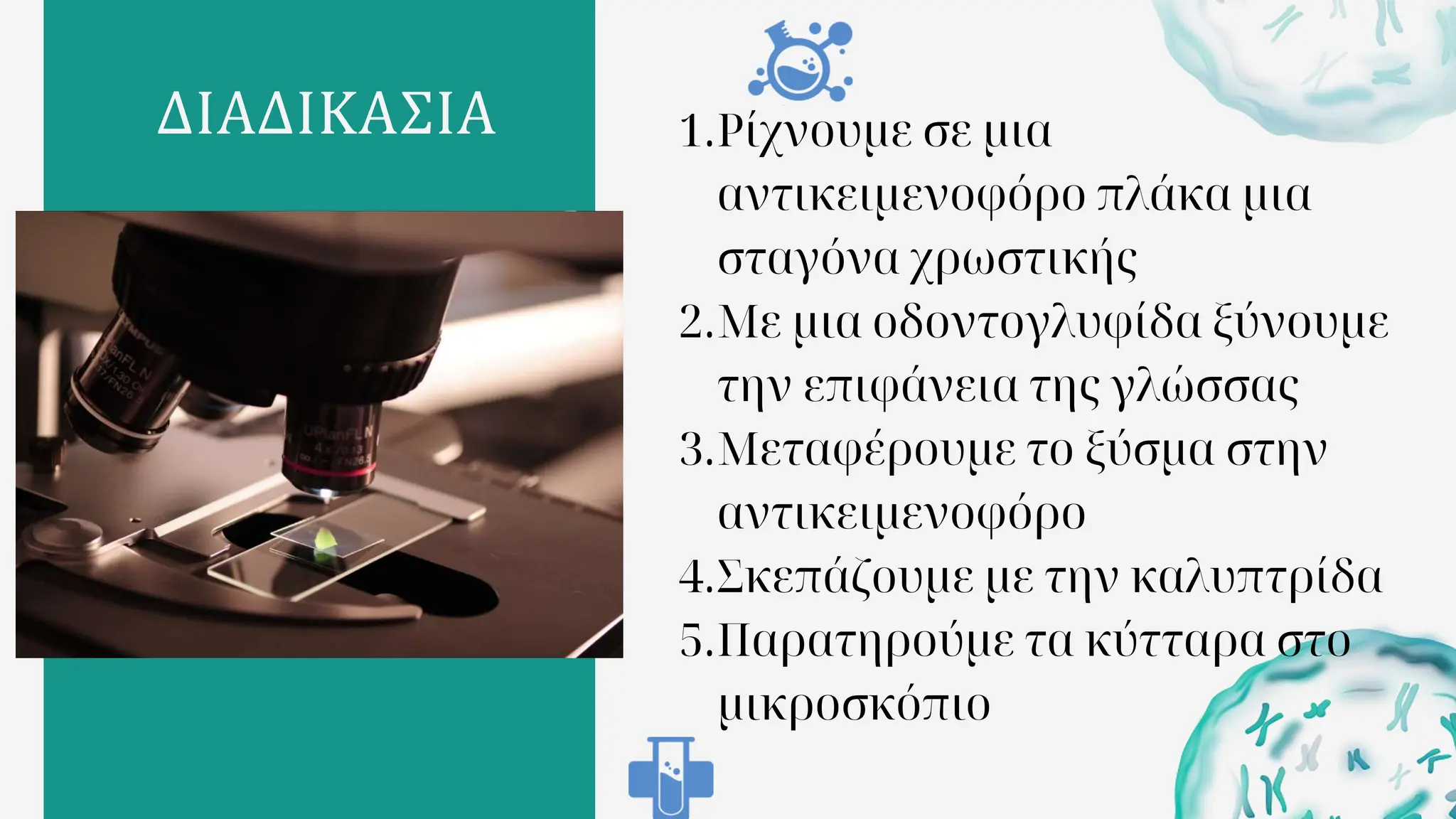 Παρατήρηση Κυττάρων στο Μικροσκόπιο _ παρουσίαση /Observation of cells ...