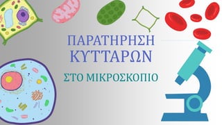 Παρατήρηση Κυττάρων στο Μικροσκόπιο _ παρουσίαση /Observation of cells ...