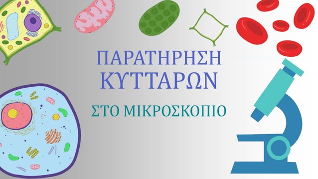 Παρατήρηση Κυττάρων στο Μικροσκόπιο _ παρουσίαση /Observation of cells ...