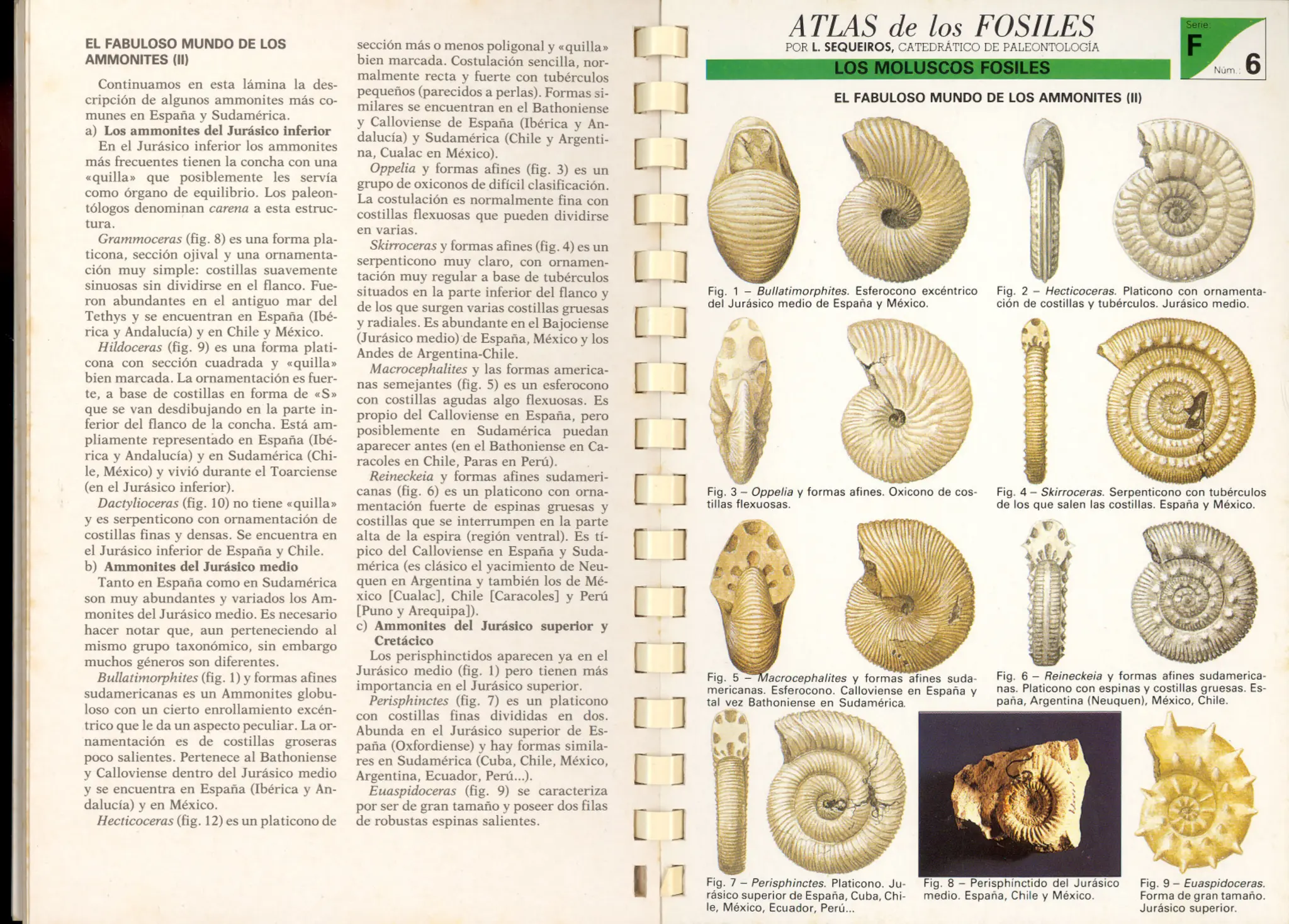 ATLAS DE LOS FOSILES, VERTEBRADOS E INVERTEBRADOS | PPT