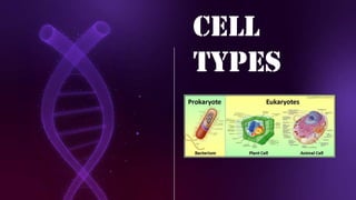 .Cell history - Sixth.pptx for Sixth Grade students. | PPT