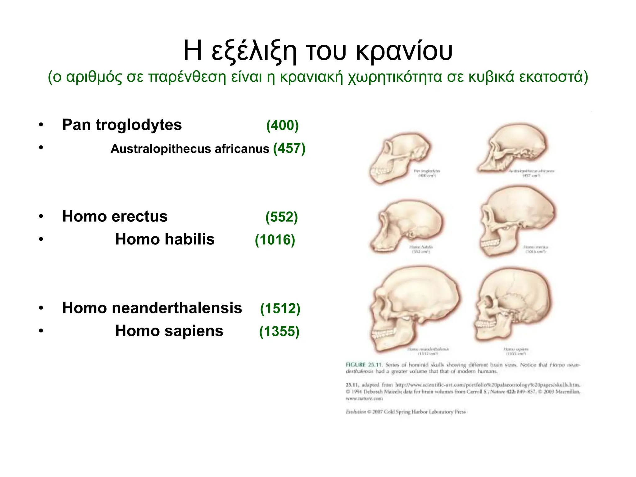 ΒΙΟΛΟΓΙΑ Γ΄ ΓΥΜΝΑΣΙΟΥ.ppt1234567899876543210 | PPT