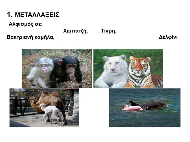 ΒΙΟΛΟΓΙΑ Γ΄ ΓΥΜΝΑΣΙΟΥ.ppt1234567899876543210 | PPT
