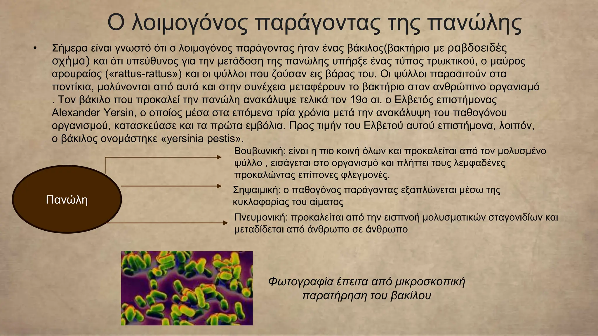 Ο ΜΑΥΡΟΣ ΘΑΝΑΤΟΣ (Η ΝΟΣΟΣ), ΣΤΕΛΙΟΣ ΚΑΡΑΪΣΚΟΣ | PPTX