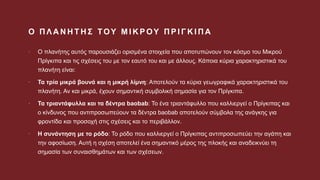 Τιμαμόπουλος Ευγ., Ο μικρός πρίγκιπας, βιβλ-ση.pptx