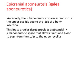 Anatomy of Scalp .by Dr .Saeed ben Aqeel | PPTX