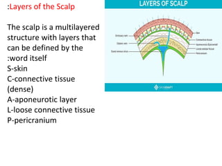 Anatomy of Scalp .by Dr .Saeed ben Aqeel | PPTX