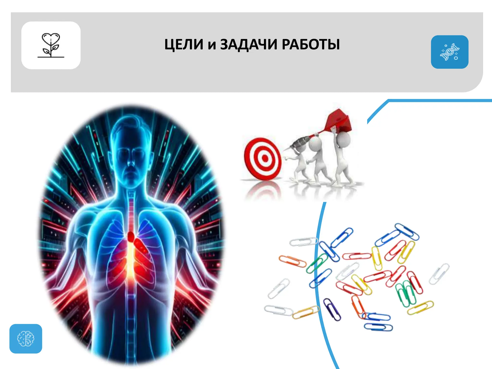 PNEUMONIA CLASSIFICATION PROGRAM DEVELOPMENT USING NEURAL NETWORKS ...