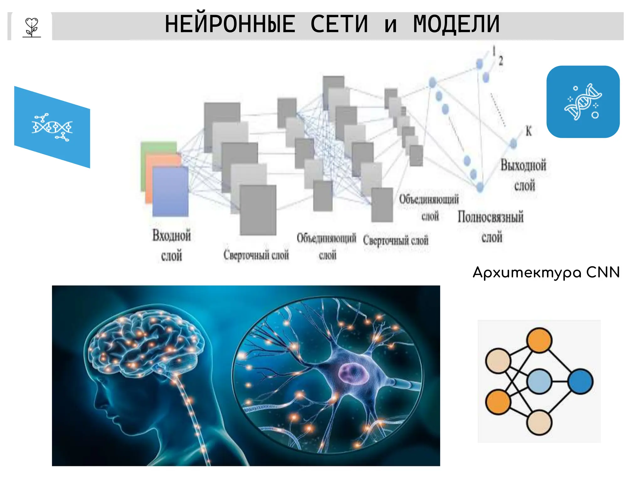 PNEUMONIA CLASSIFICATION PROGRAM DEVELOPMENT USING NEURAL NETWORKS ...