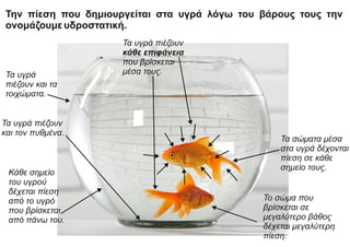 Η υδροστατική πίεση | PDF