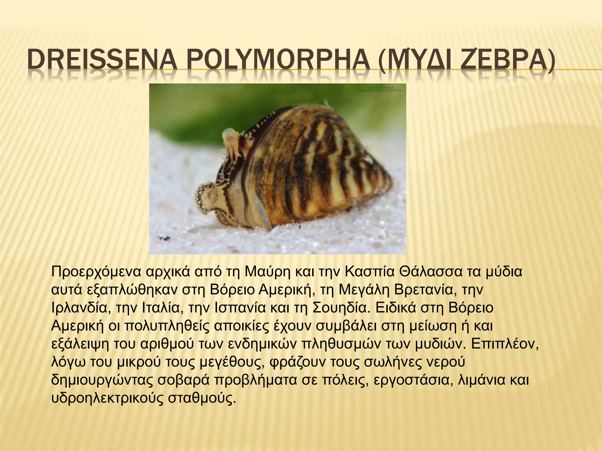 Ξενικα ειδη: Τι είναι και ποια είναι.pptx