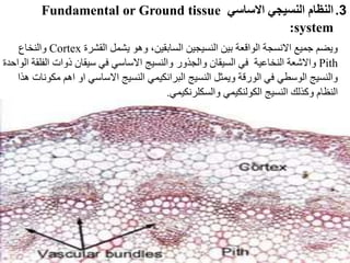 د.فائق الراضي Permanent tissues-6 (Muhadharaty).pptx