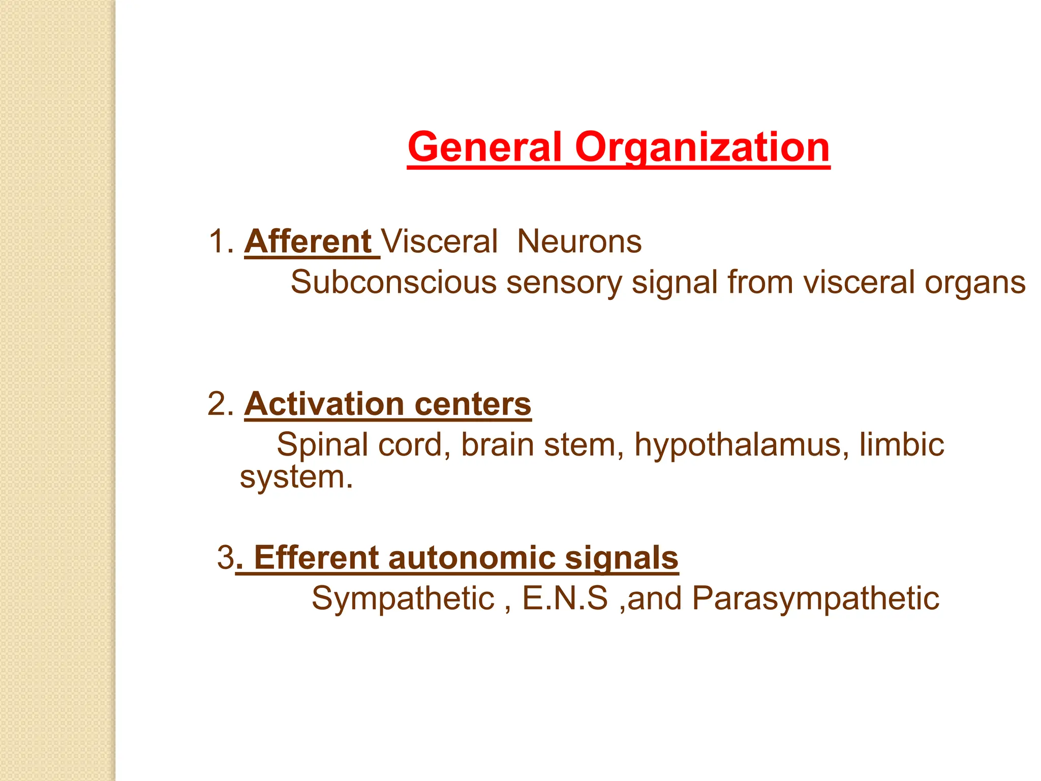 Autonomic Nervous System Physiology Brief Ppt