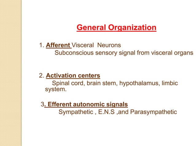 Autonomic nervous system physiology brief | PPT