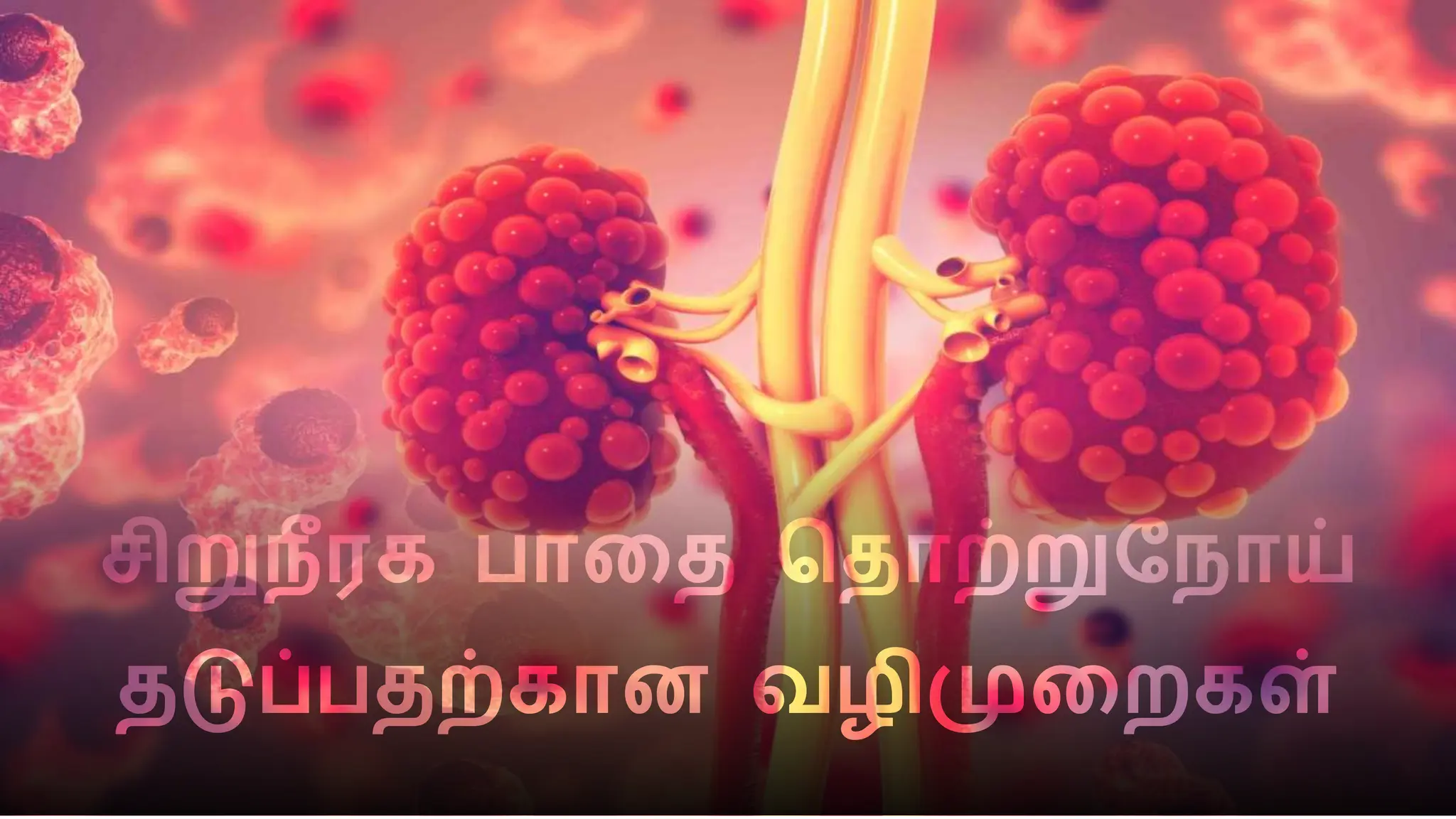 Prevention of Urinary tract infection pptx | PPT