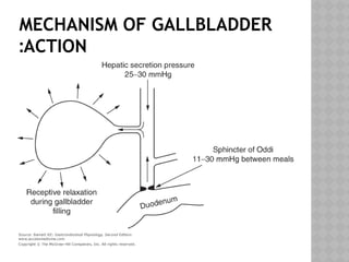 Nursing seminar about gallbladder disease and gallstones | PPTX