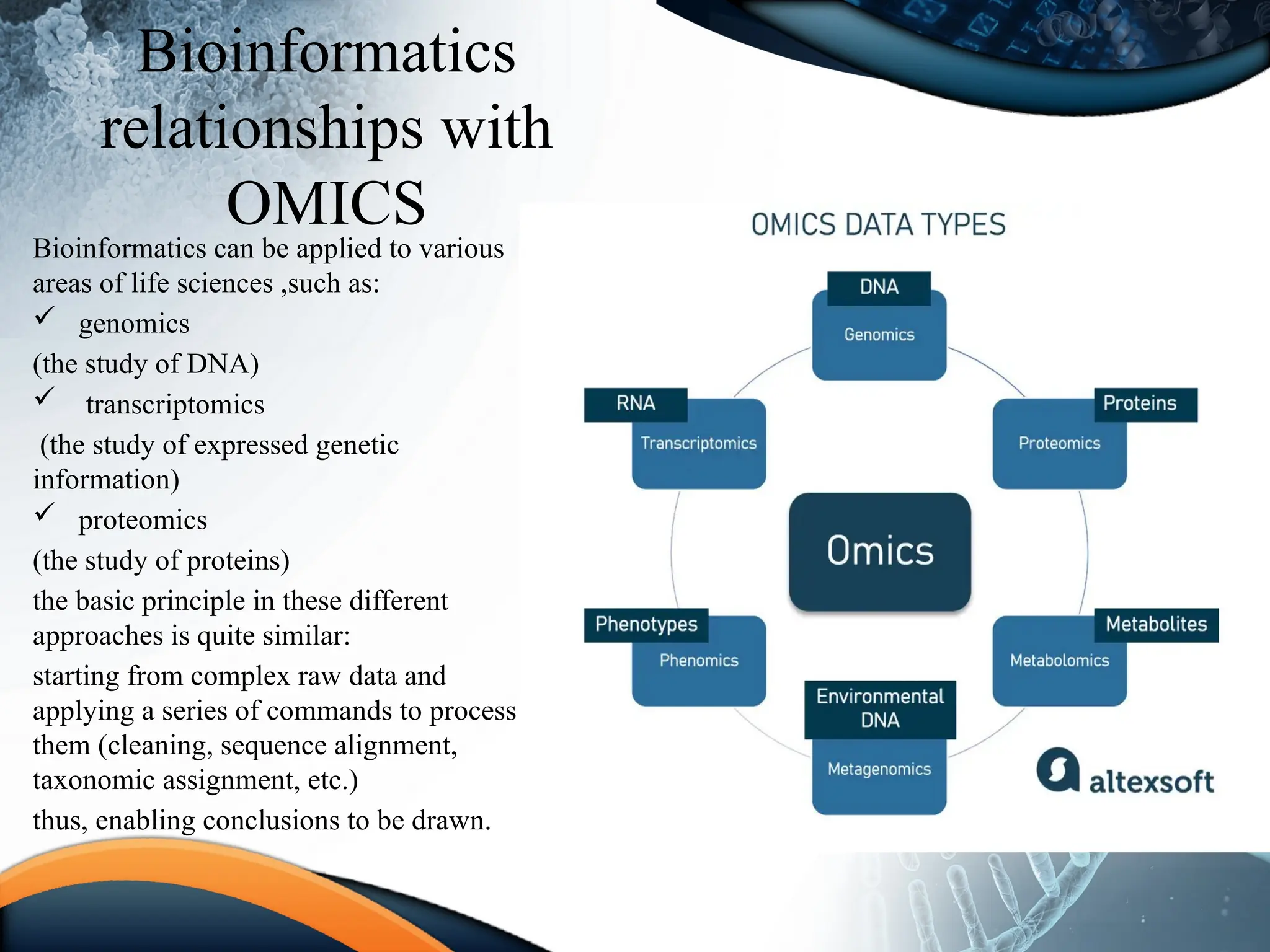 bioinformatics and artificial intelligence .pptx