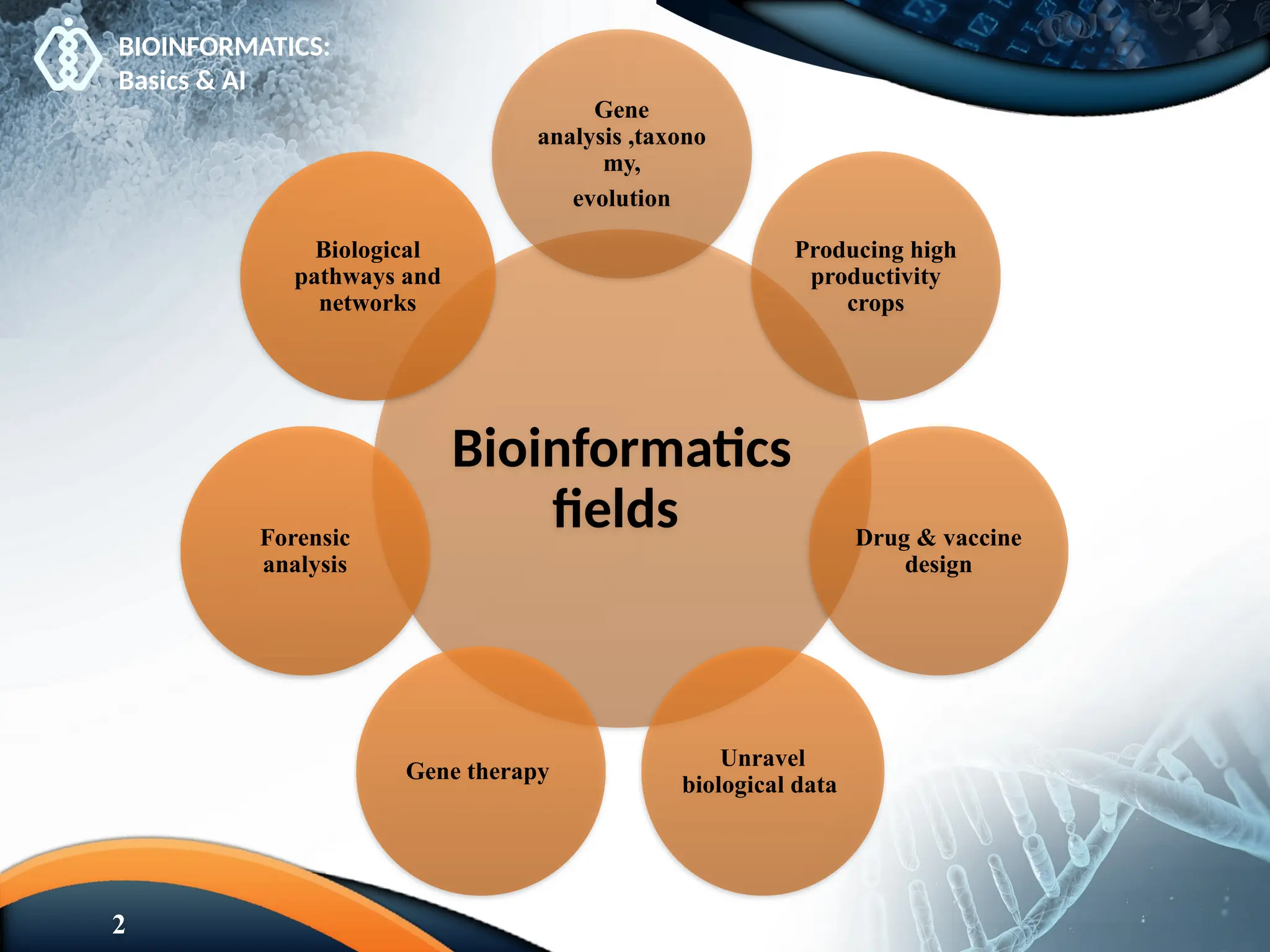 bioinformatics and artificial intelligence .pptx