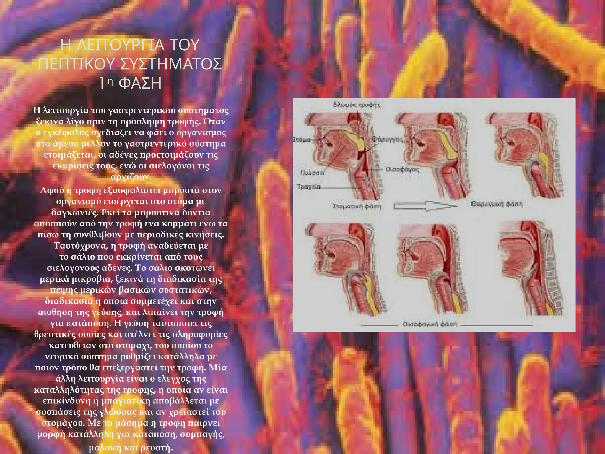 Parousiasi tou peptikou sistimatos apo mathiti a lykeioy | PPTX