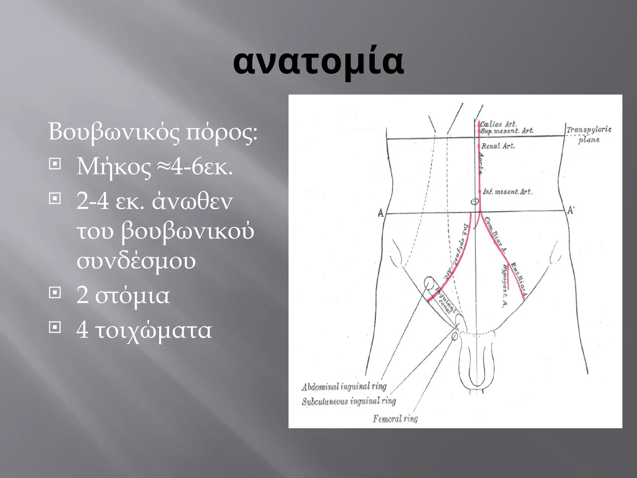 Operations for open Inguinal hernia surgery | PPT