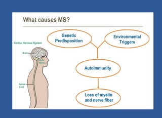 slides of multiple sclerosis presentation | PPTX