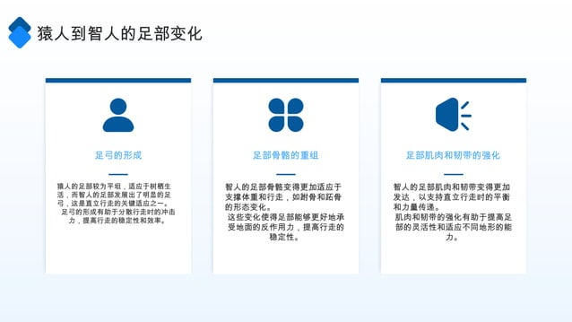 anatomical and evolutional change in human foot | PPTX