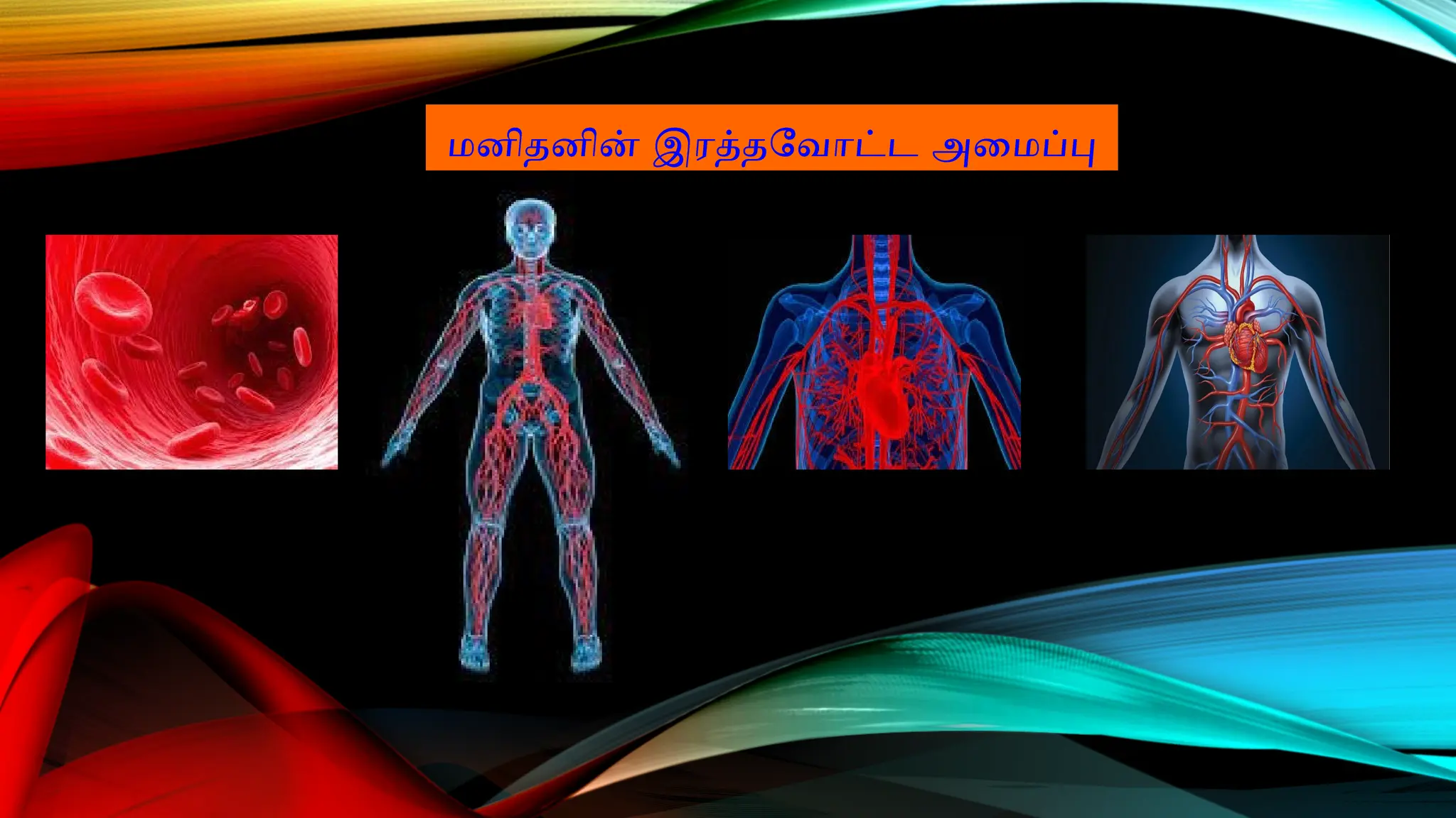 human body blood circulation. science year 5 | PPT | Free Download