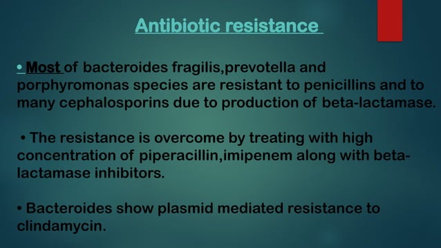 Gram-positive and negative anaerobic bacteria | PPT