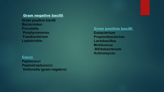 Gram-positive and negative anaerobic bacteria | PPT