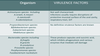 Gram-positive and negative anaerobic bacteria | PPT