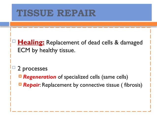 د. مصطفى REPAIR & HEALING-1 (Muhadharaty).pptx