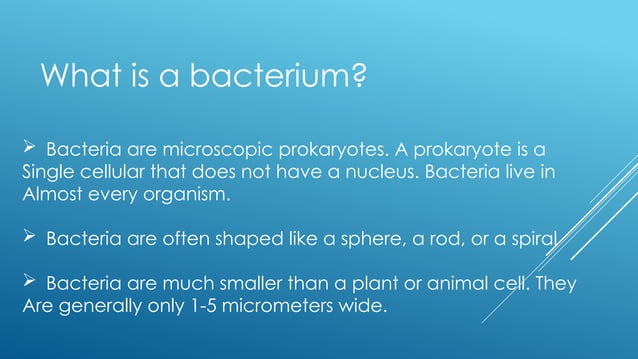 Microbiology presentation undergraduate.pptx