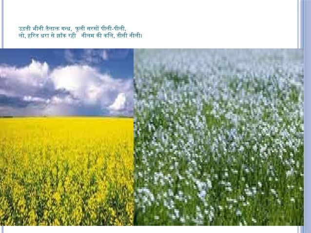 ग्रामश्री.pptx Class 9th Hindi Ch 11 ppt format for students | PPTX