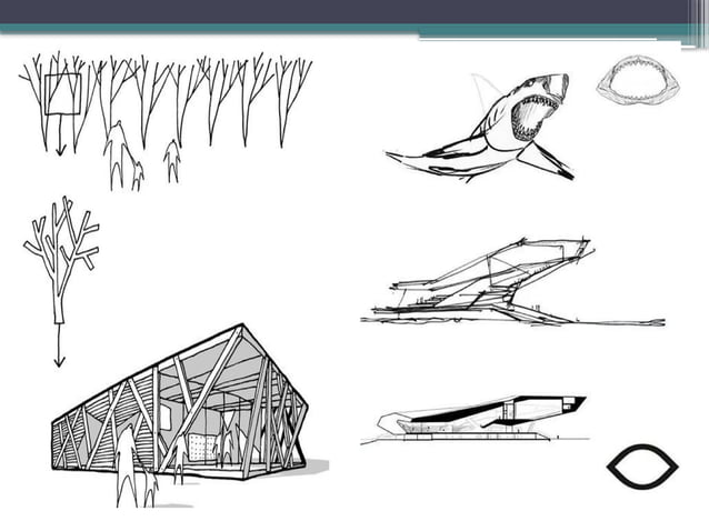 123 Design principle and examples of project. | PPT