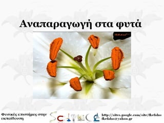 Αναπαραγωγή στα φυτά, βιολογία β γυμνασίου | PPT