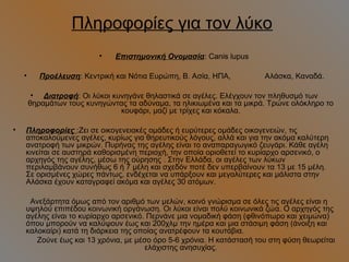 Ο ΛΥΚΟΣ-ΠΑΠΑΔΟΠΟΥΛΟΥ ΕΛΕΝΗ.ppt ΔΙΑΘΕΜΑΤΙΚΗ | PPT