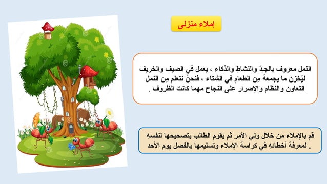 Arabic topic for year 3 very important for learning grammar | PPT