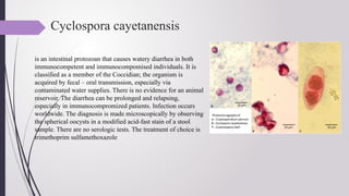 life cycle 12121212121212112212121212121 | PPTX