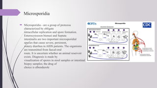 life cycle 12121212121212112212121212121 | PPTX